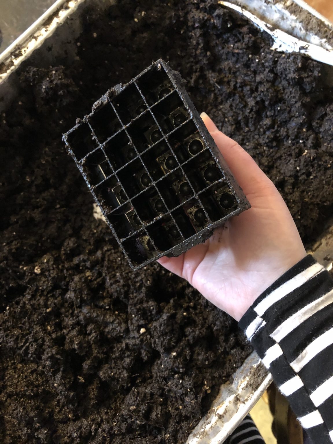 Soil Block Recipe